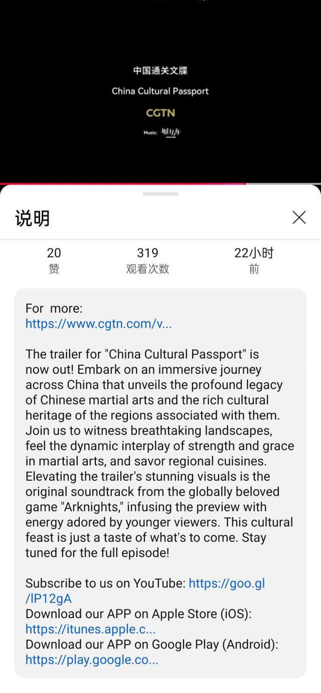 [新闻搬运] 《中国通关文牒》：武术与山水美食的奇妙之旅(CGTN宣传片使用令EP《醉飞尘》作为BGM) NGA玩家社区
