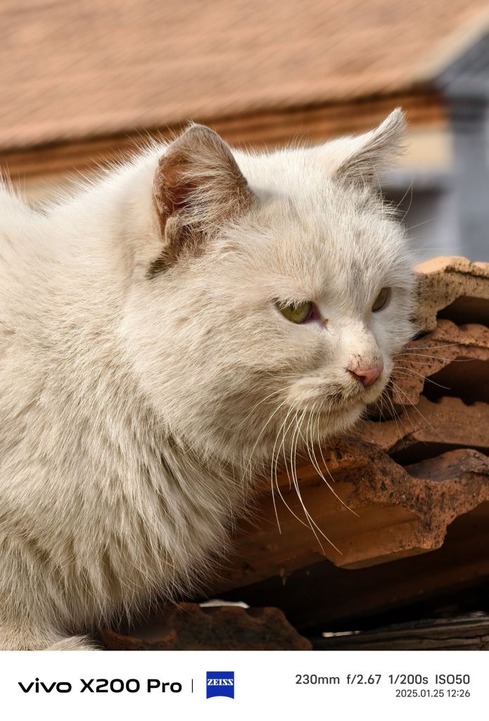 x200的滤镜跟X100一样吗？还是vivo的糖水风格吗？ NGA玩家社区