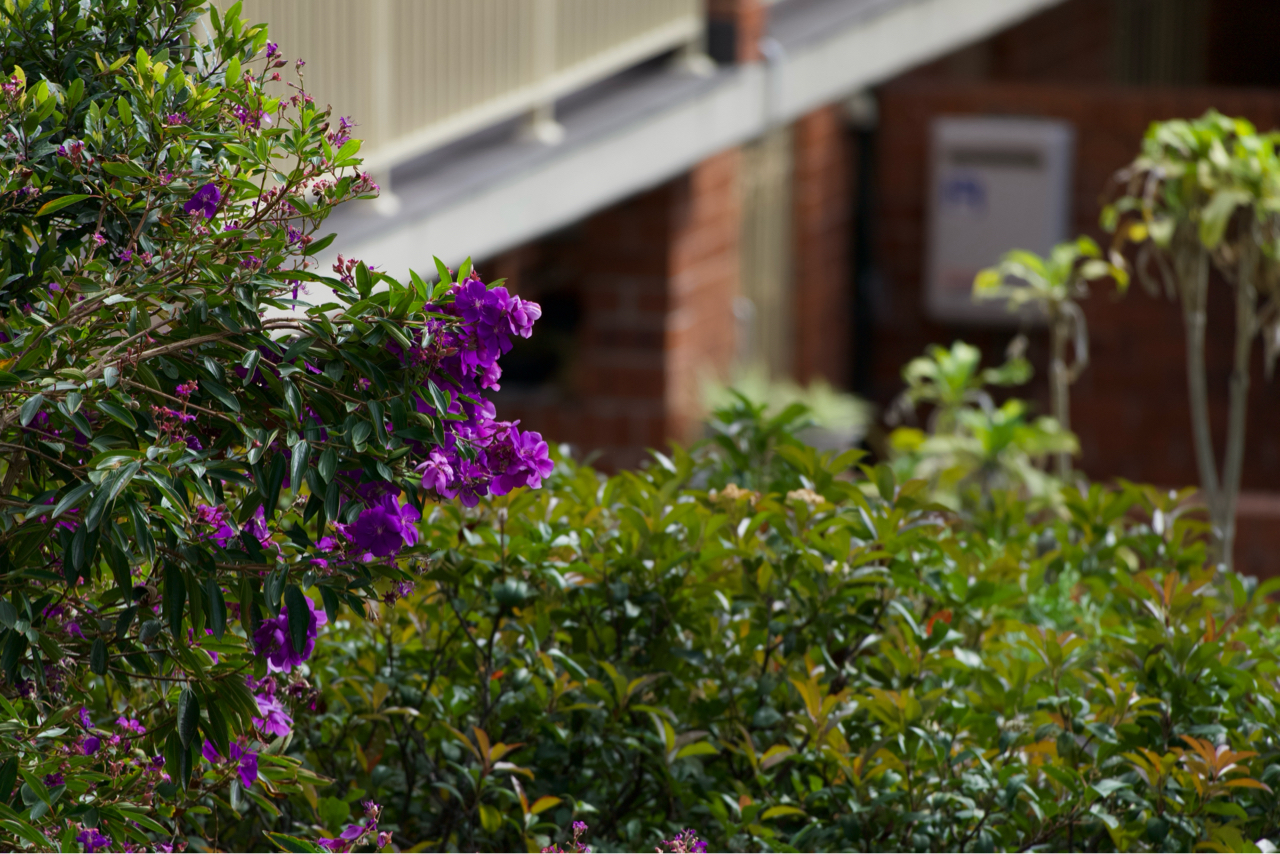 索尼480G开箱及种草 NGA玩家社区