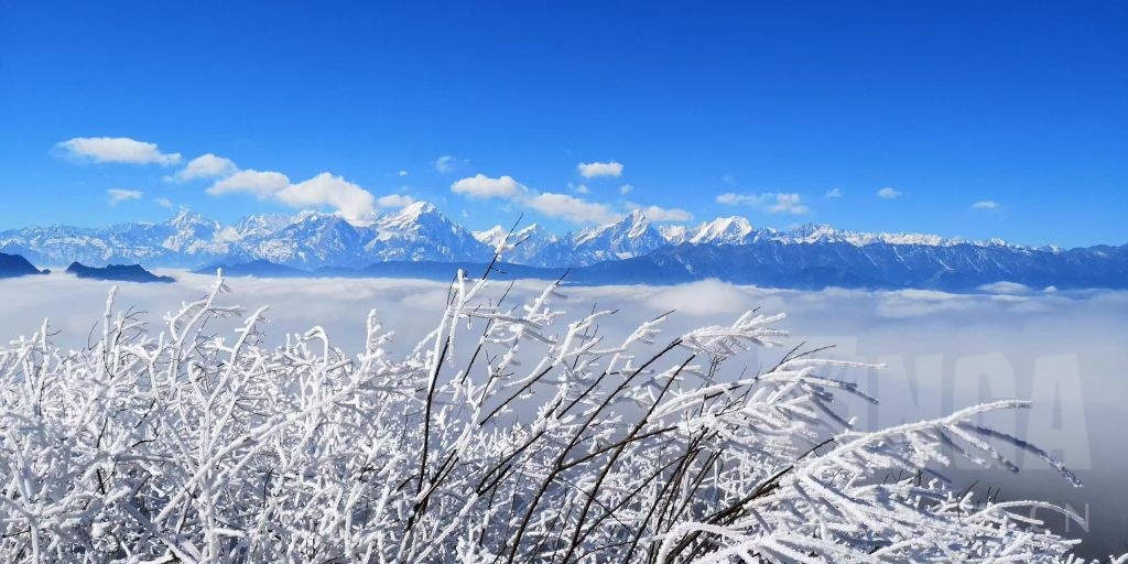 亲自测试了下比亚迪 1.5L dmi 318高原5000米连续低温重载爬坡，系统动力冗余到底够用不 NGA玩家社区