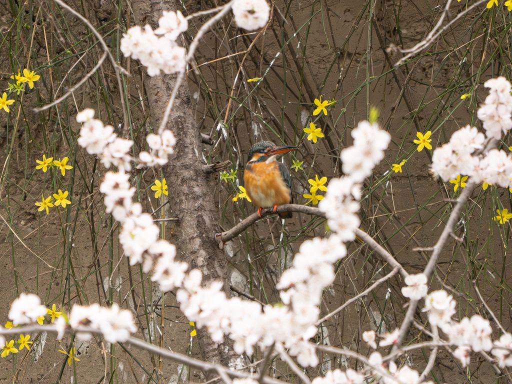 a7r5+720打鸟初体验 NGA玩家社区