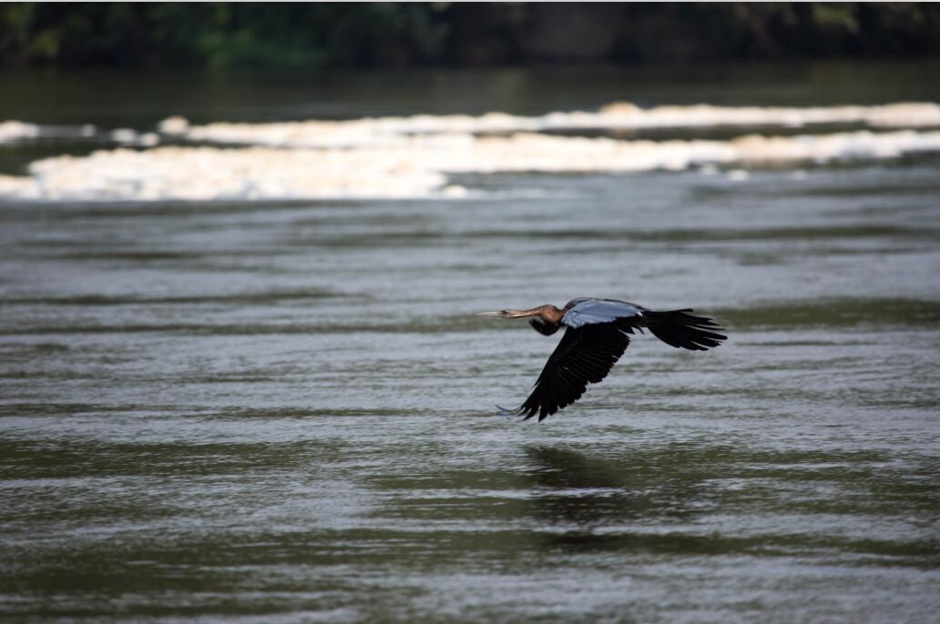 a7r5+720打鸟初体验 NGA玩家社区