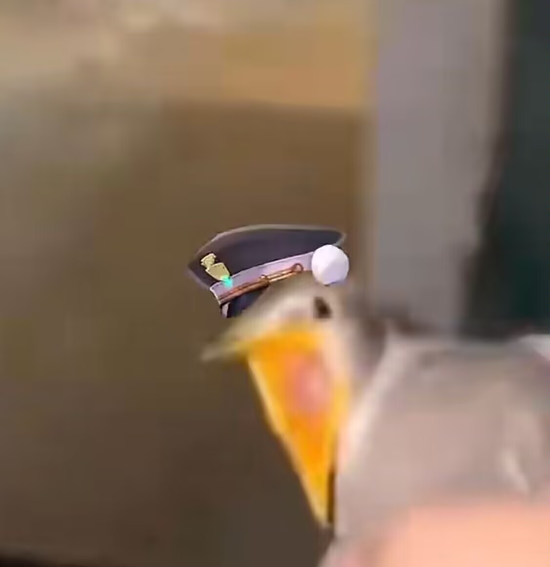 [安科/安价] [同人] [MYGO][HBR/炽焰天穹]丰川祥子、为了人类的未来而战……真的能战吗？ NGA玩家社区