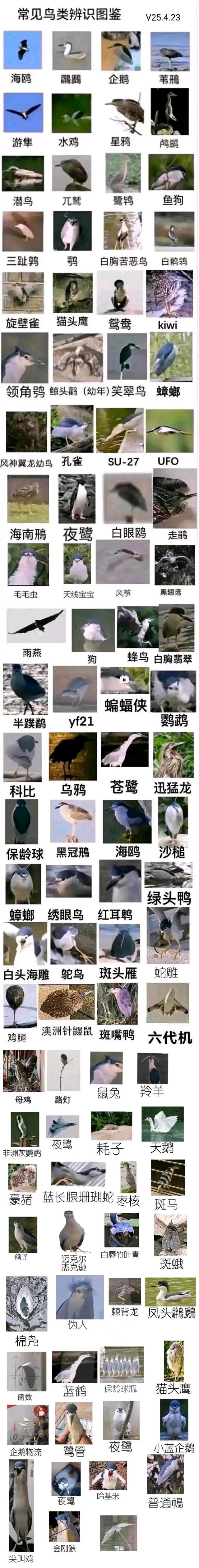 [专楼] [花瓶HB]十八号专楼 NGA玩家社区