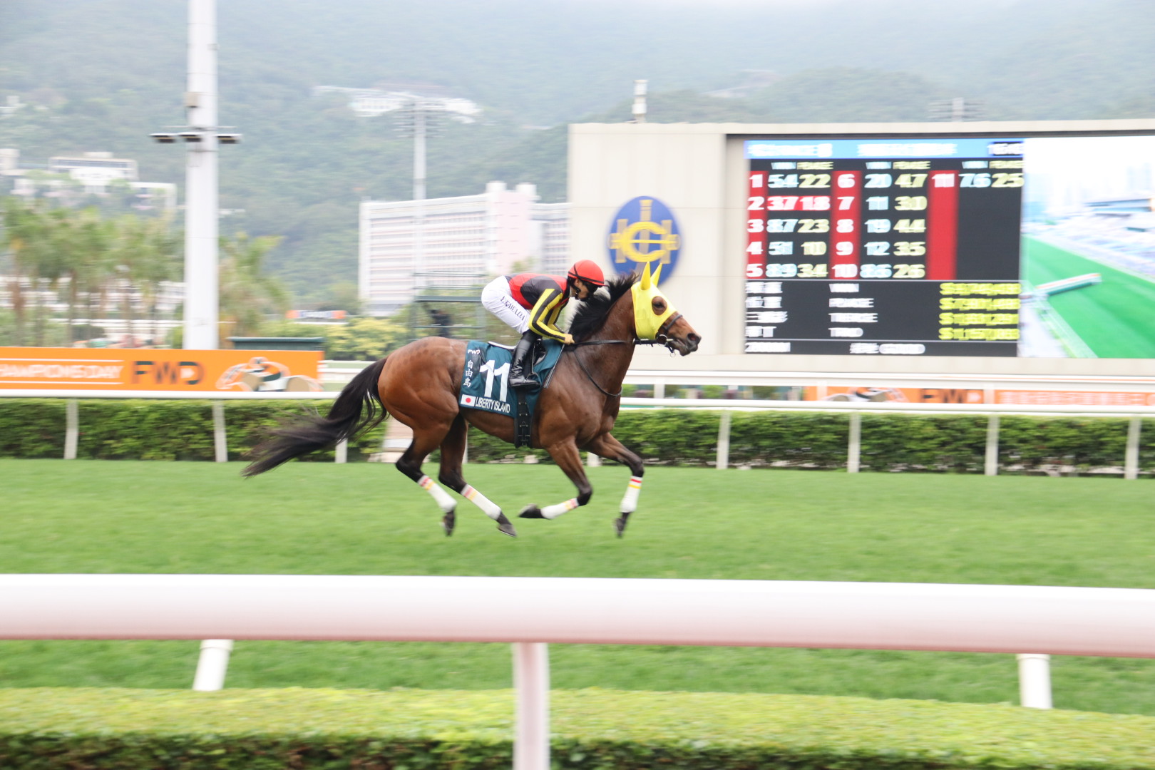 [讣告][悼念]自由岛已是自由之身 NGA玩家社区