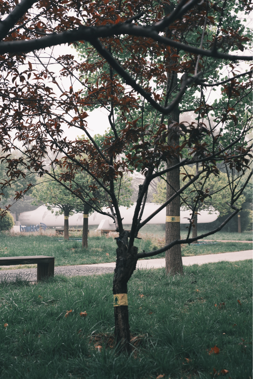 A7C2 的 FL 创意外观确实挺好用 NGA玩家社区