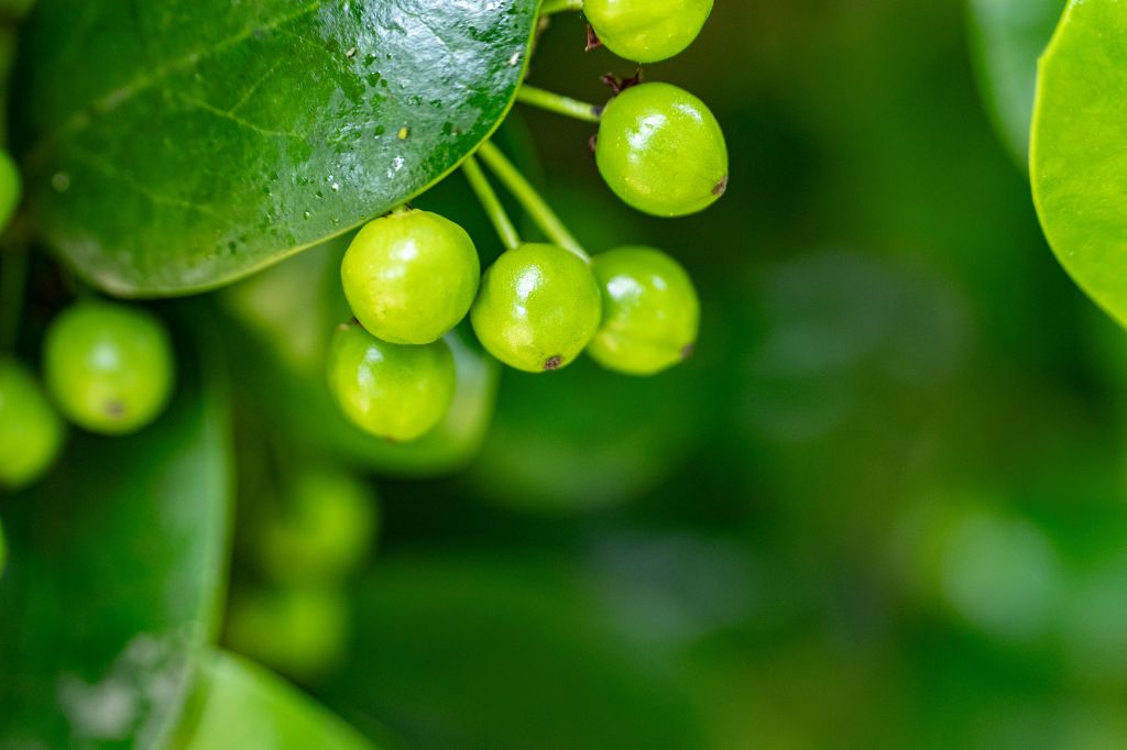 拿下牢松24105，发现..没传言的那么不堪 NGA玩家社区