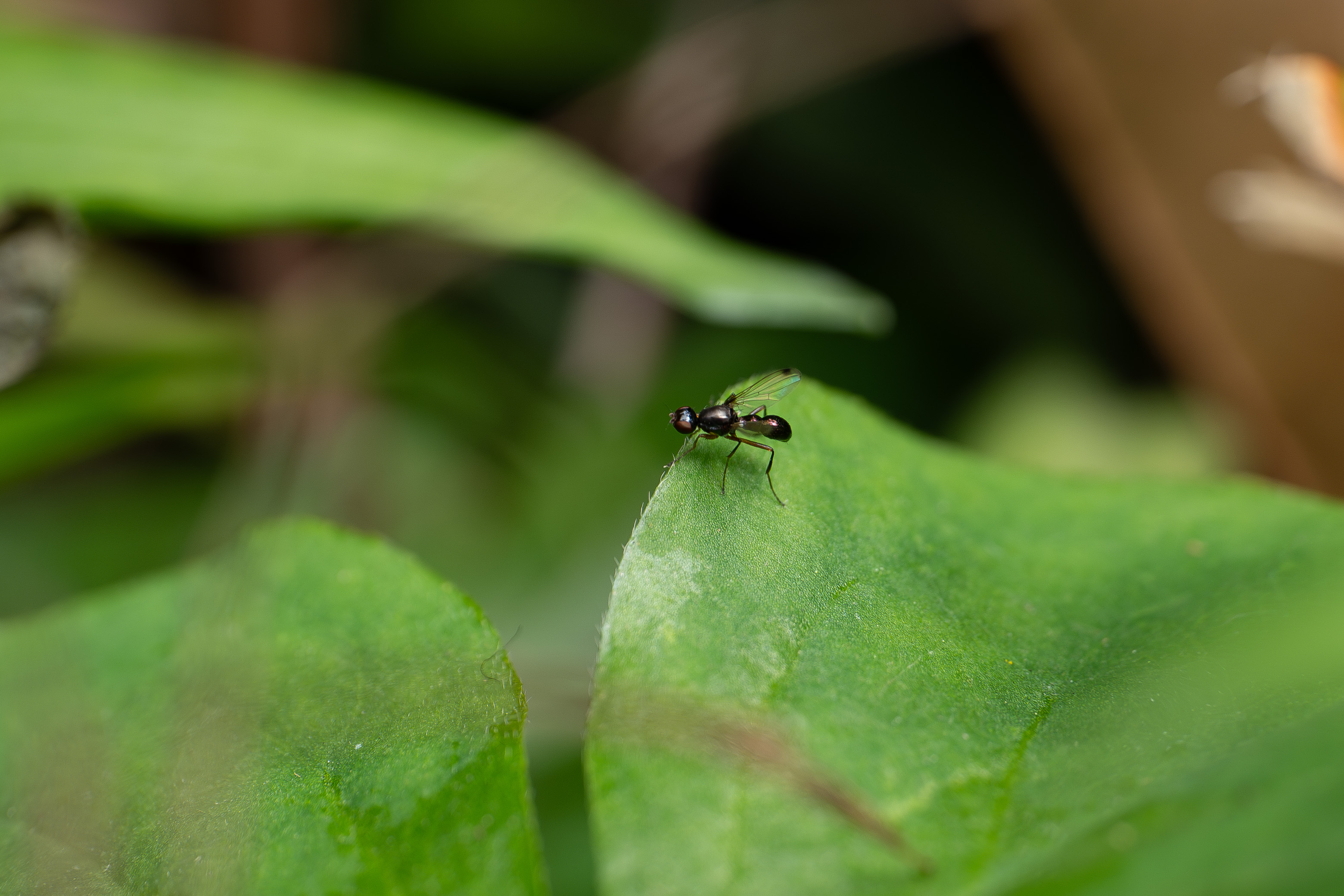 拿下牢松24105，发现..没传言的那么不堪 NGA玩家社区
