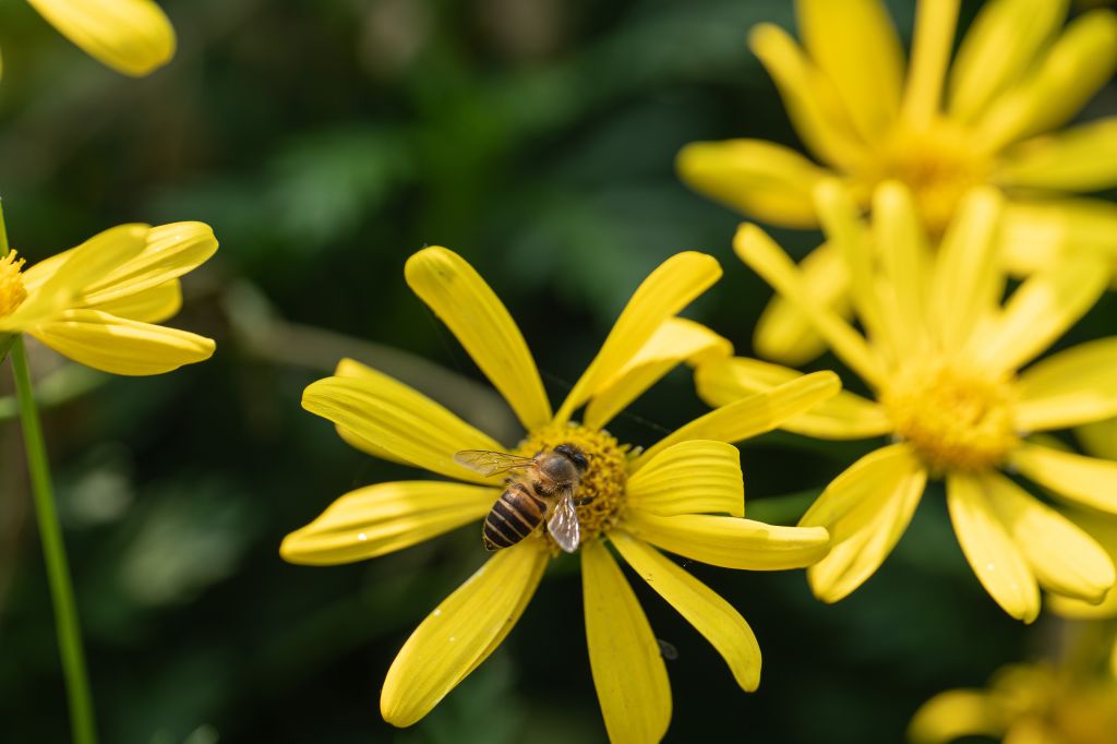 拿下牢松24105，发现..没传言的那么不堪 NGA玩家社区