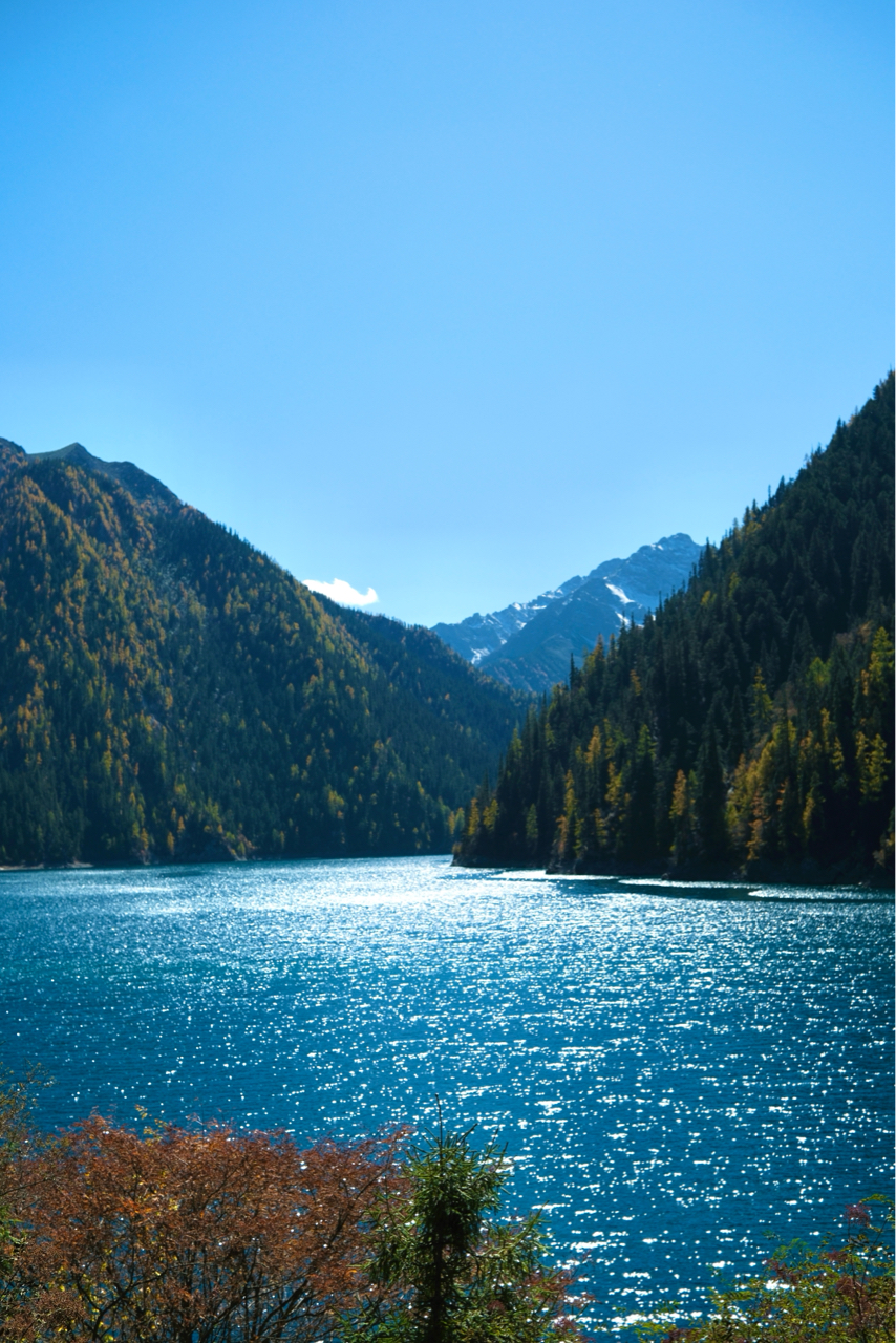 新手入门 xm5买不到 NGA玩家社区