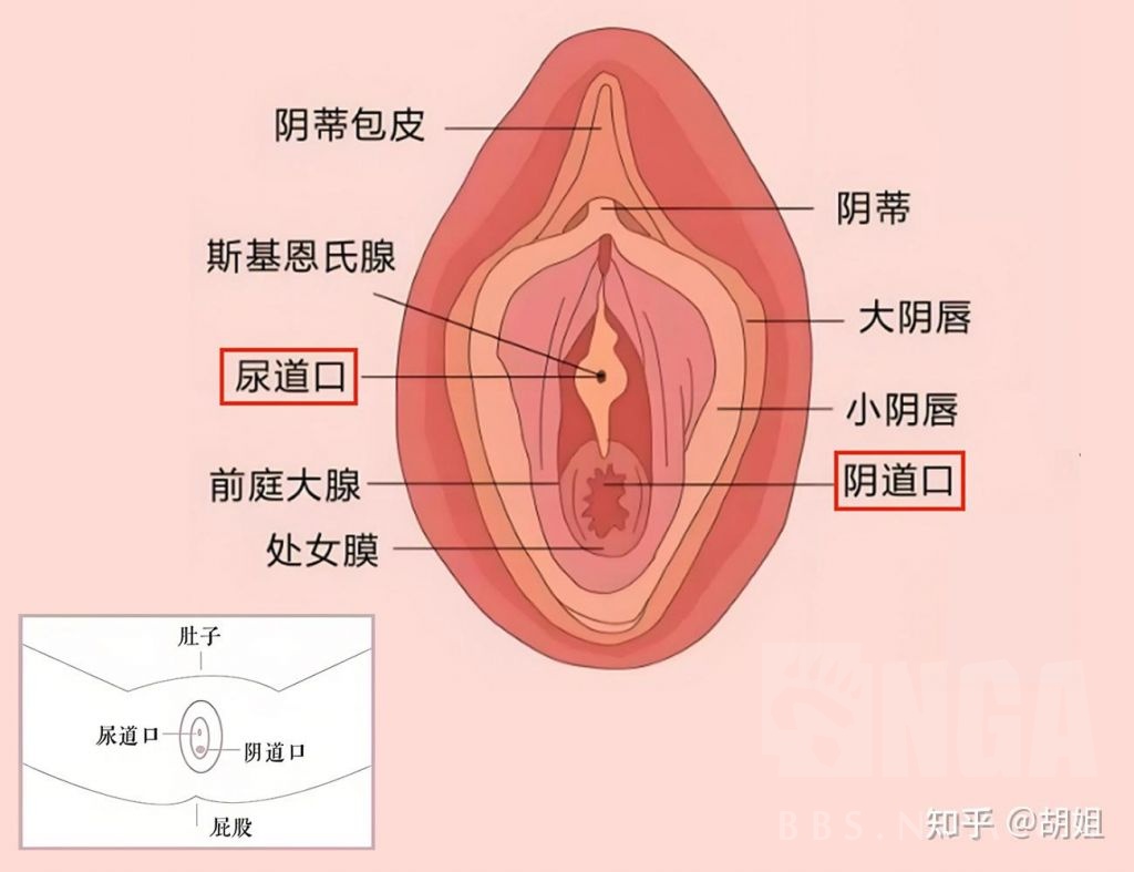 第一次打boss NGA玩家社区