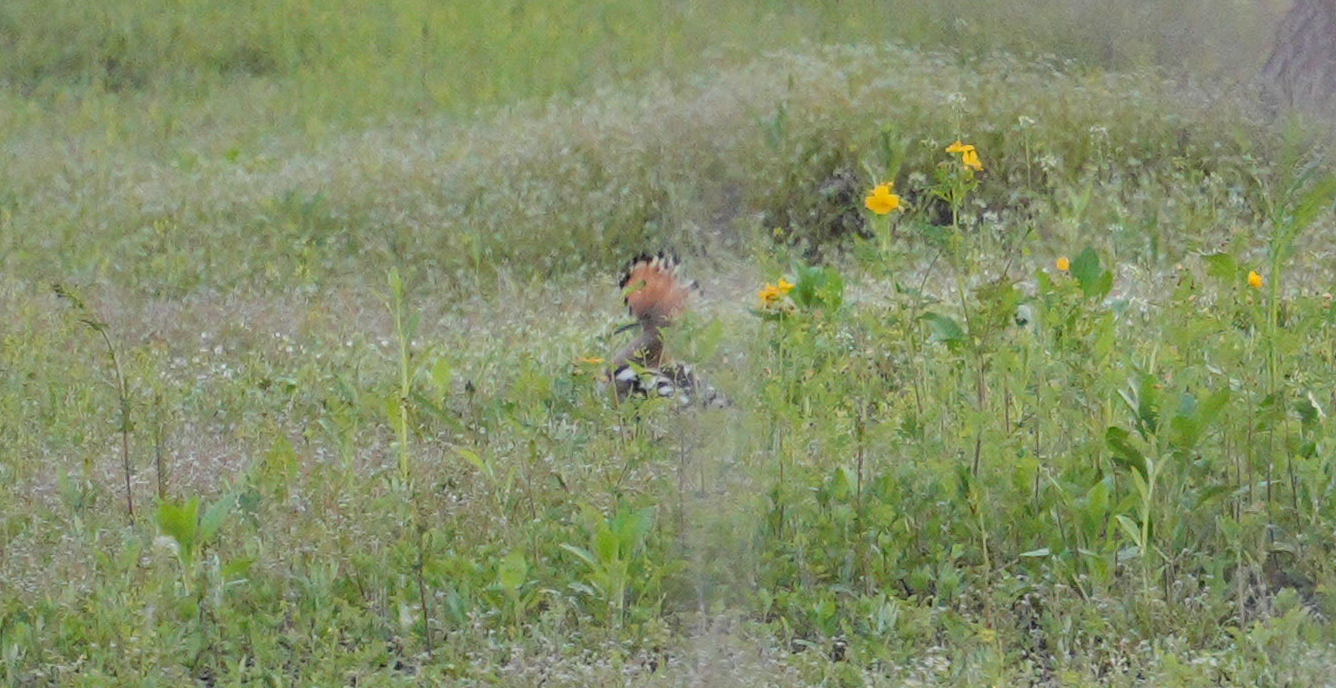 28200极限拍鸟 NGA玩家社区