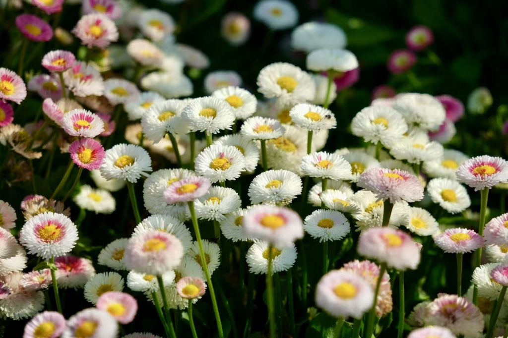 新手青海湖打鸟A7C2+28-200 NGA玩家社区