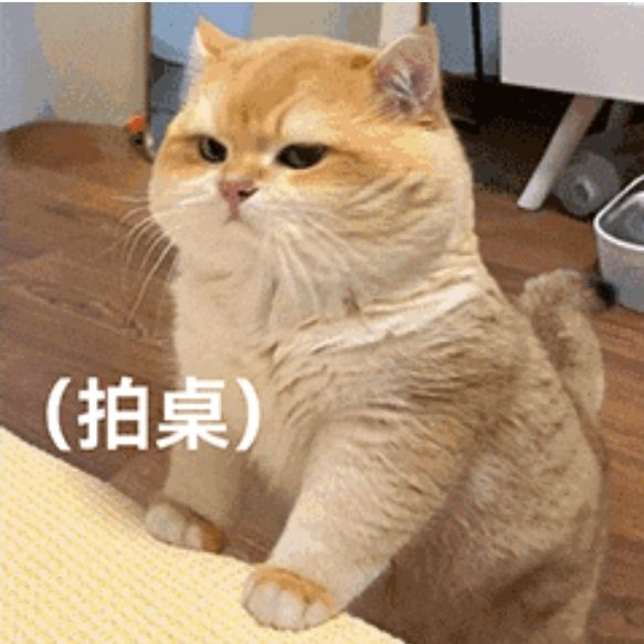 带大魔力套子的10+7能打天罡地煞么？109 NGA玩家社区