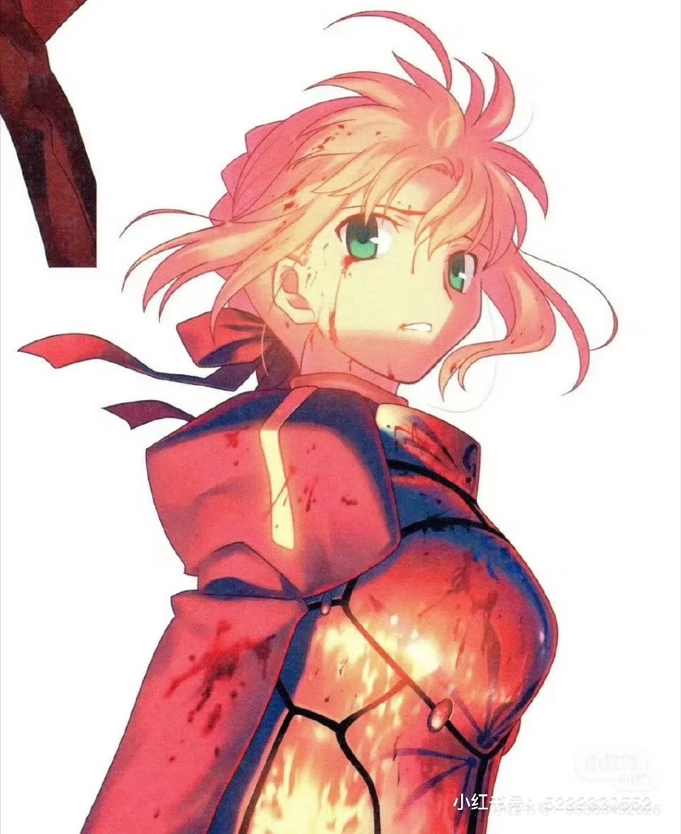 我没看过fate但是也认识saber，谁给说说这ip经典在哪里 NGA玩家社区