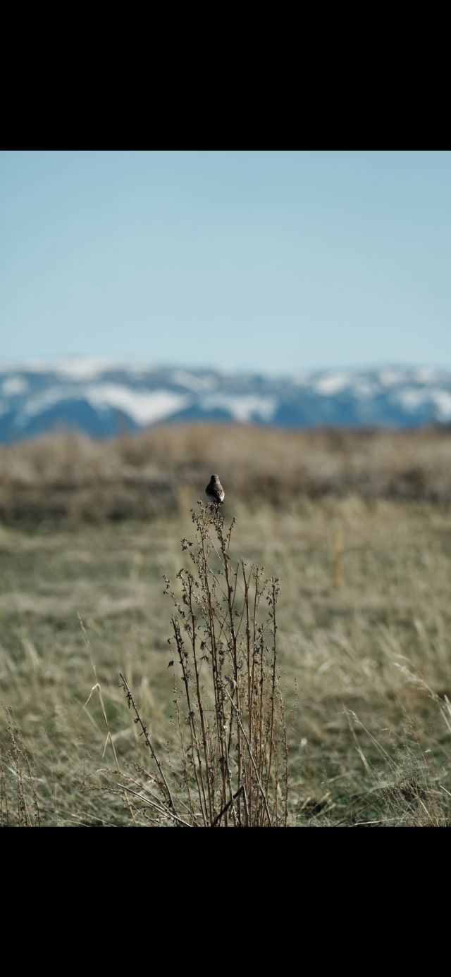 各位大佬 A7C2 70-200焦段如何选择呢 NGA玩家社区