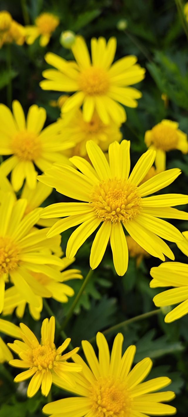 [简单吐槽] 吐槽一下小米13pro NGA玩家社区