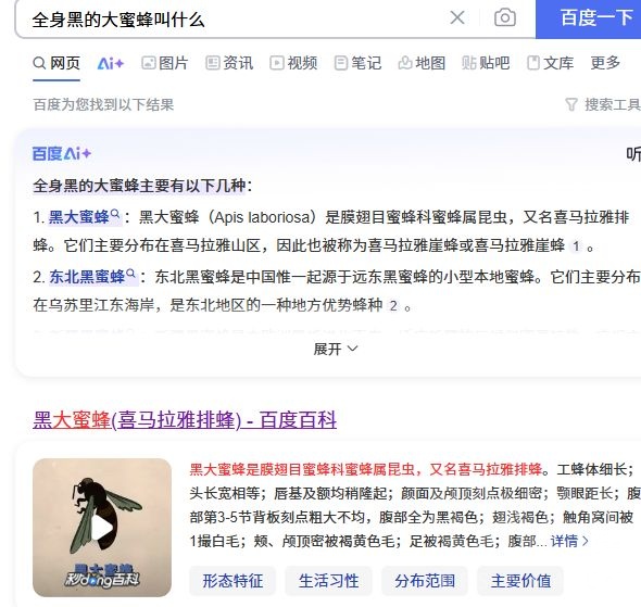 有没有老哥知道这个是什么蜂？有点吓人 NGA玩家社区