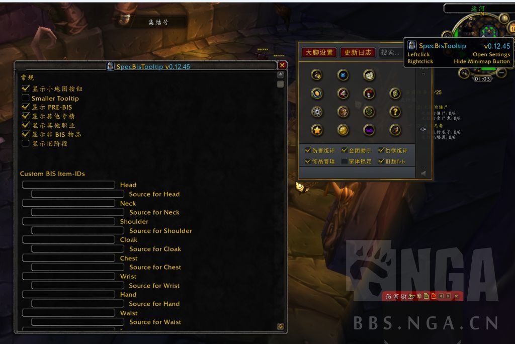 [提问] 哪位大佬能帮忙看看bis插件这是什么问题！！ 178