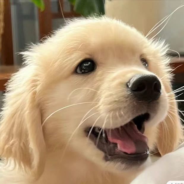 本赛季预计什么时候放匹？33冲起来 NGA玩家社区