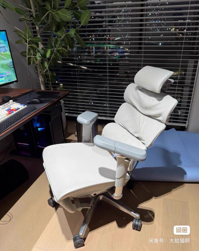 [人体工学椅] Ergomax Evolution2 Max人体工学椅，1500元。 NGA玩家社区