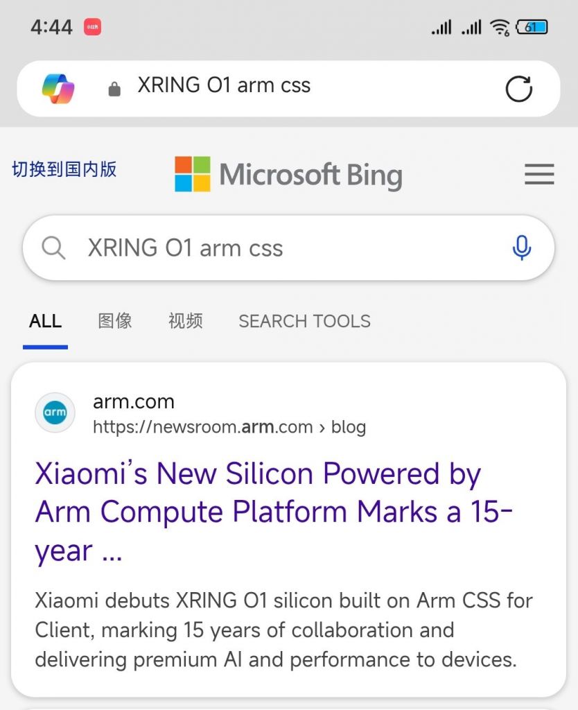 bing国际版搜索xring o1 arm css，真能搜到arm css字段 178