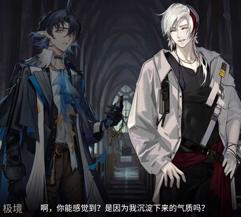 [闲谈交流] 刷到说极境像林品如的 NGA玩家社区