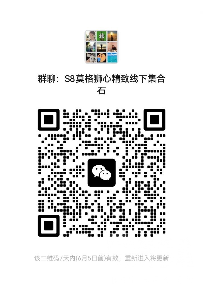 [pvp组队合集]S8莫格莱尼狮心精致线下集合石。 NGA玩家社区