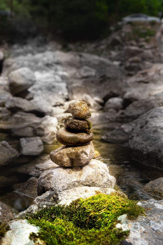 尼康初学者，请各位大手子评价下吧，我虚心学习下 NGA玩家社区