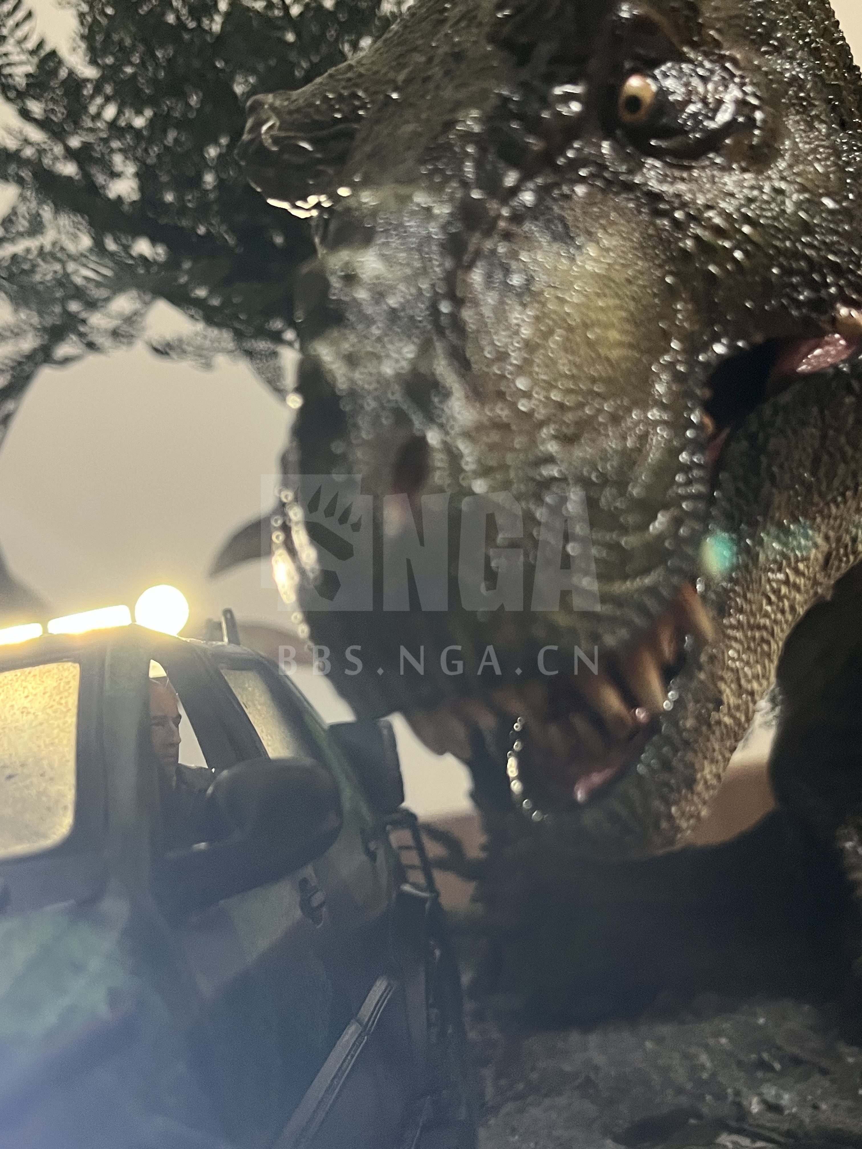 [雕像] 分享个恐龙模型 NGA玩家社区