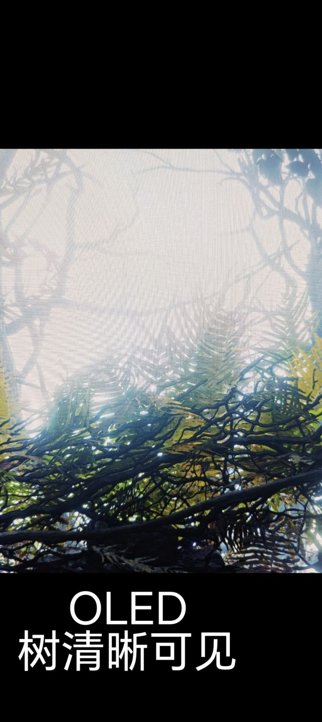 请问OLED显示器hdr调整问题 NGA玩家社区