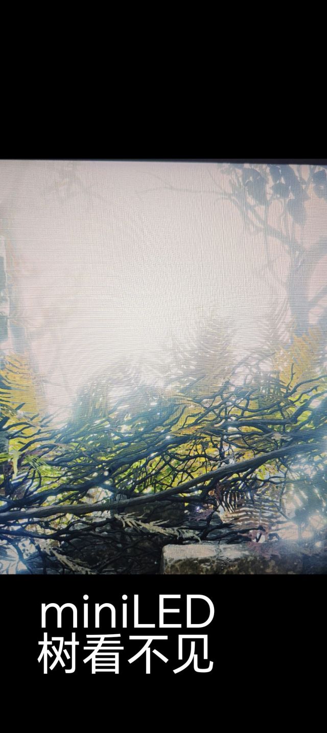 请问OLED显示器hdr调整问题 NGA玩家社区