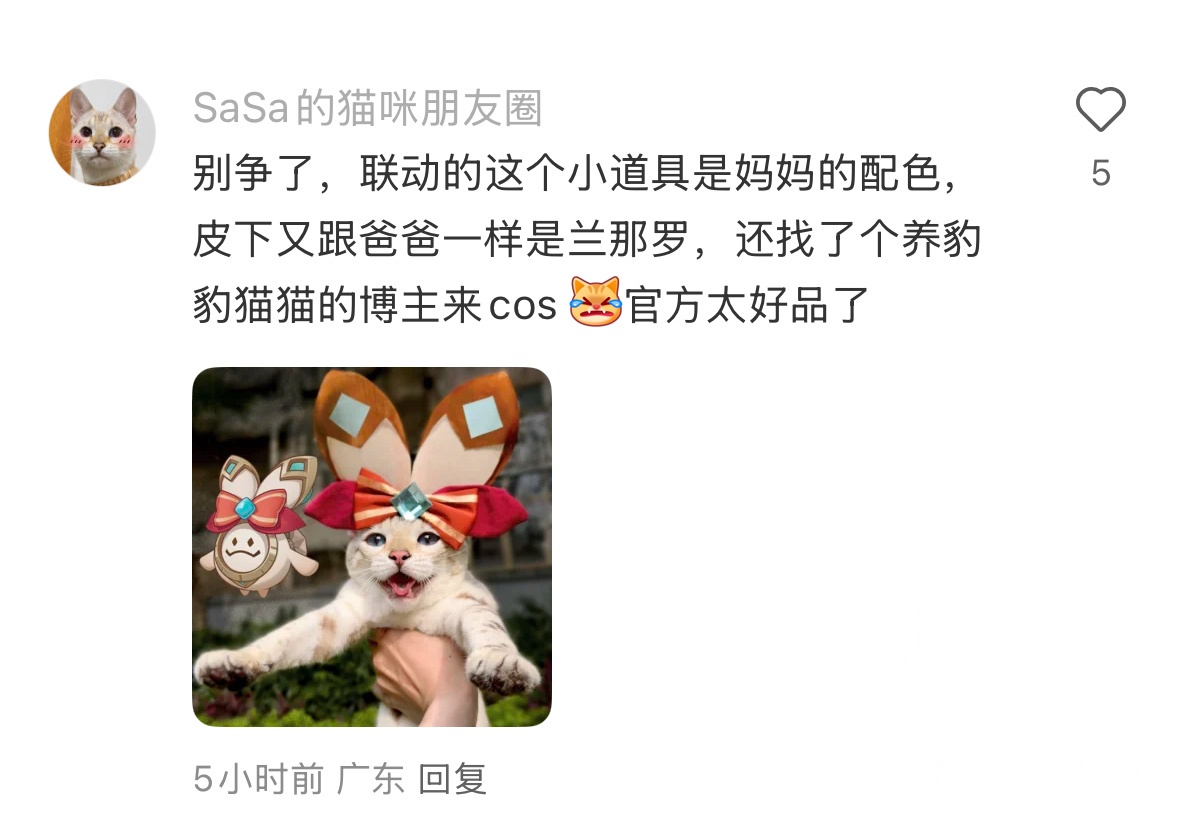 [有知妙CB/CP预警] 来增加一些卡维推浓度！(邀约感想& 后续随机掉落日记杂谈) NGA玩家社区