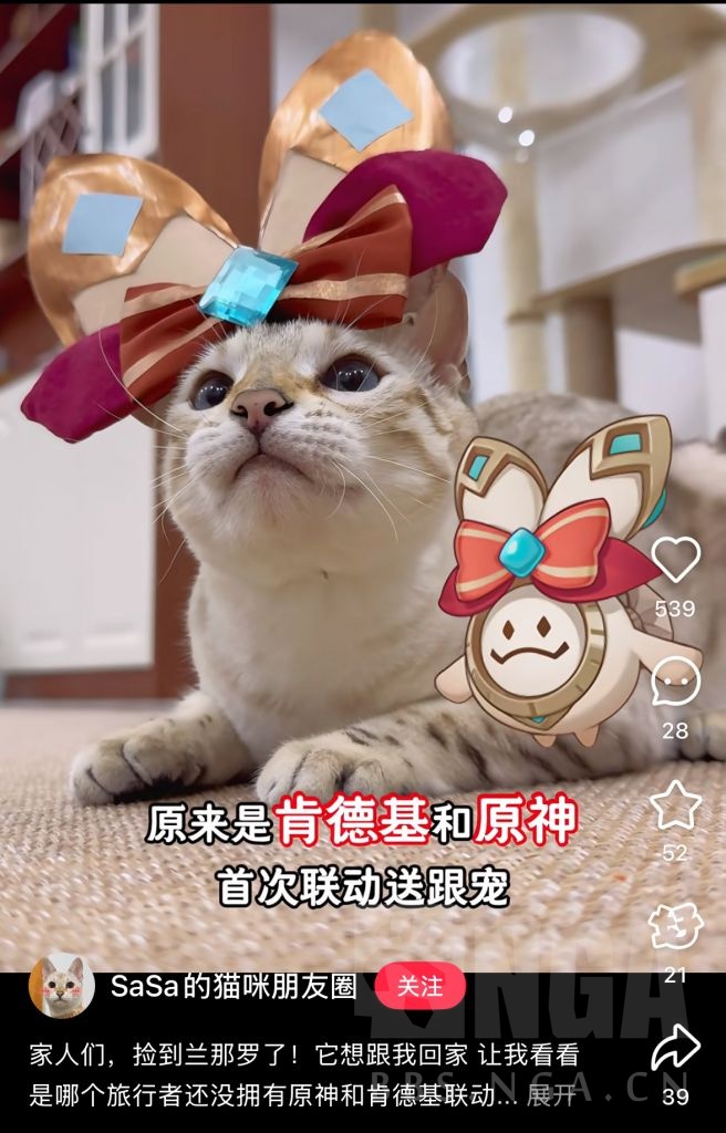 [有知妙CB/CP预警] 来增加一些卡维推浓度！(邀约感想& 后续随机掉落日记杂谈) NGA玩家社区