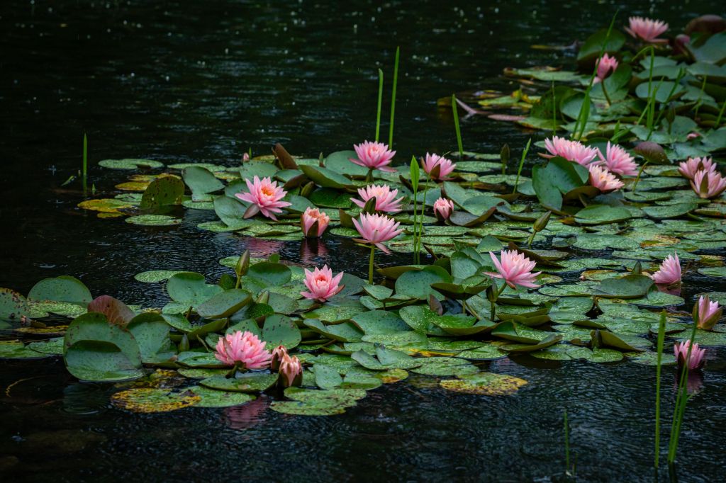 怎么办 要不要升级A7R5 NGA玩家社区