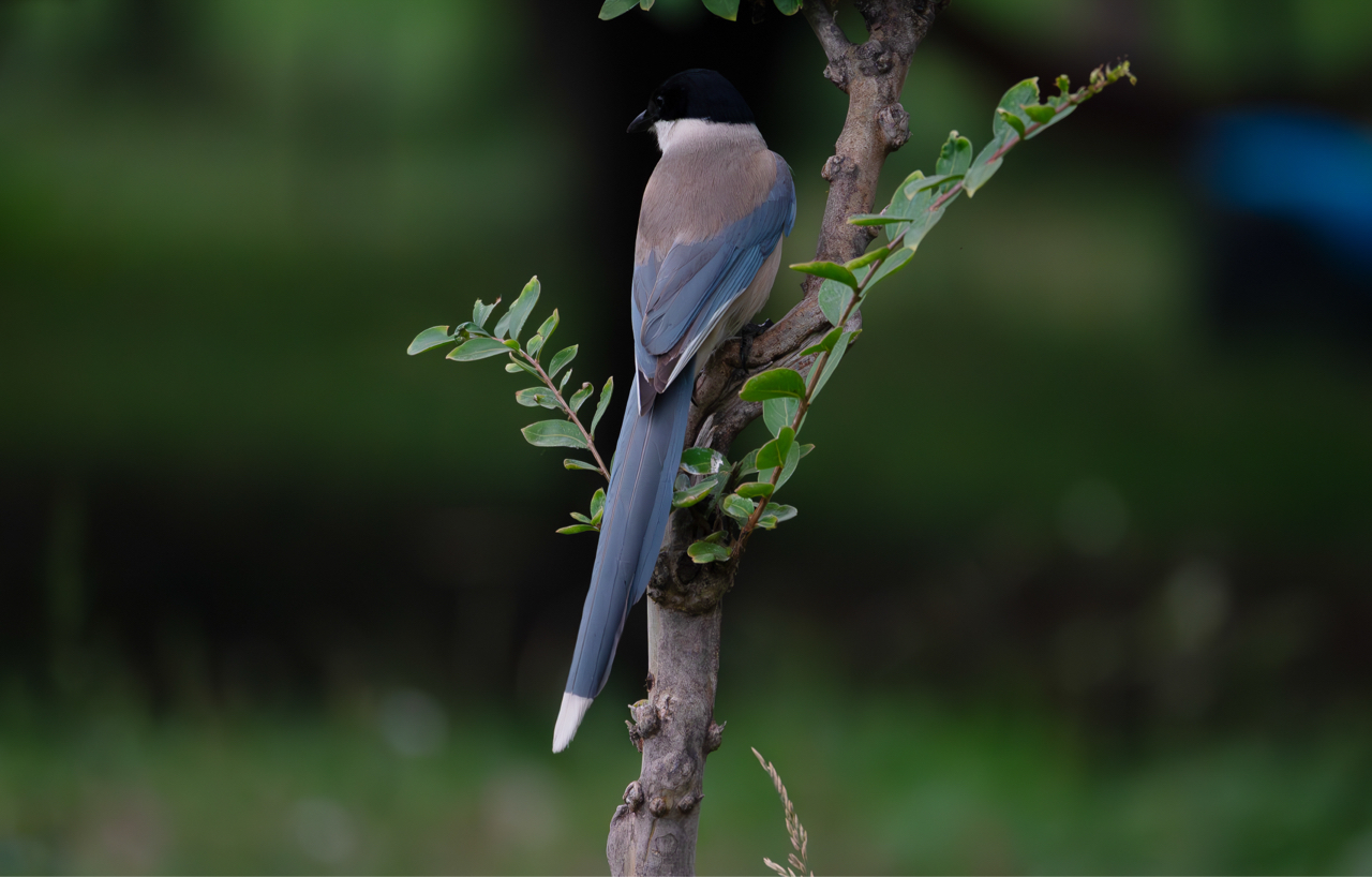 入了腾龙z155 NGA玩家社区