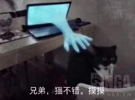 [搬运]尊贵的namie正在给尊贵的公主过生日 NGA玩家社区