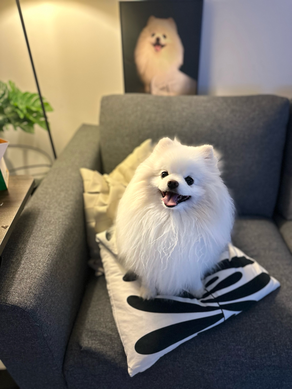 9700x+5070全白装机分享 NGA玩家社区