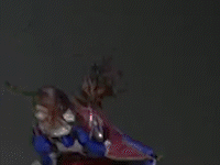 [艺术审美E-]导演了FGO2.6的妖兰线舞台剧(更新正片表情包) NGA玩家社区