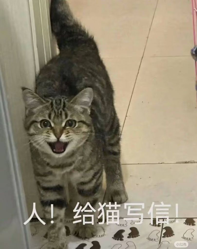 李华是猫的可能性很低，但绝对不为0 NGA玩家社区