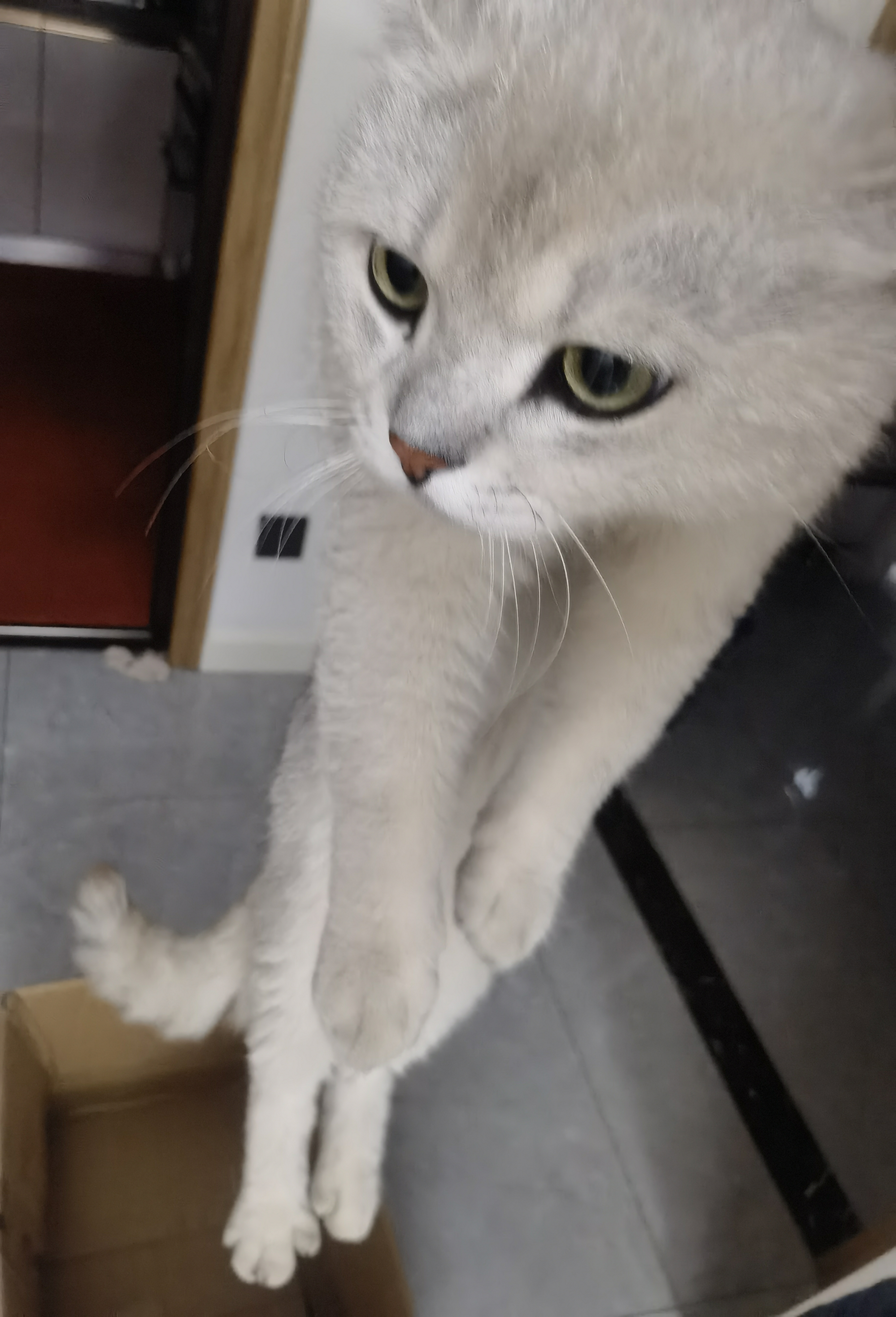 跑不过的都是捡的，现在要求助泥潭了 NGA玩家社区