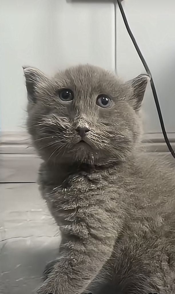 求教，暗牧271法杖比271主副手差多少 NGA玩家社区