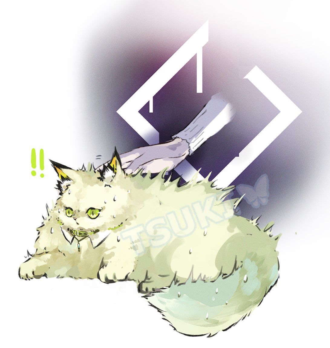 [同人搬运]猫不错，摸摸 NGA玩家社区