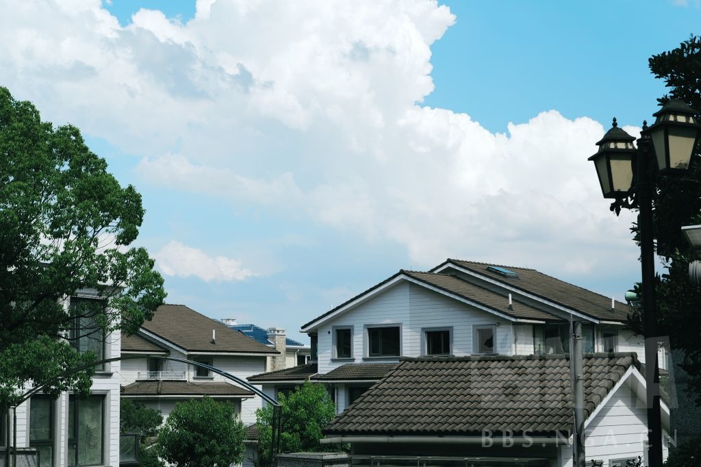 新手第一次拍 NGA玩家社区