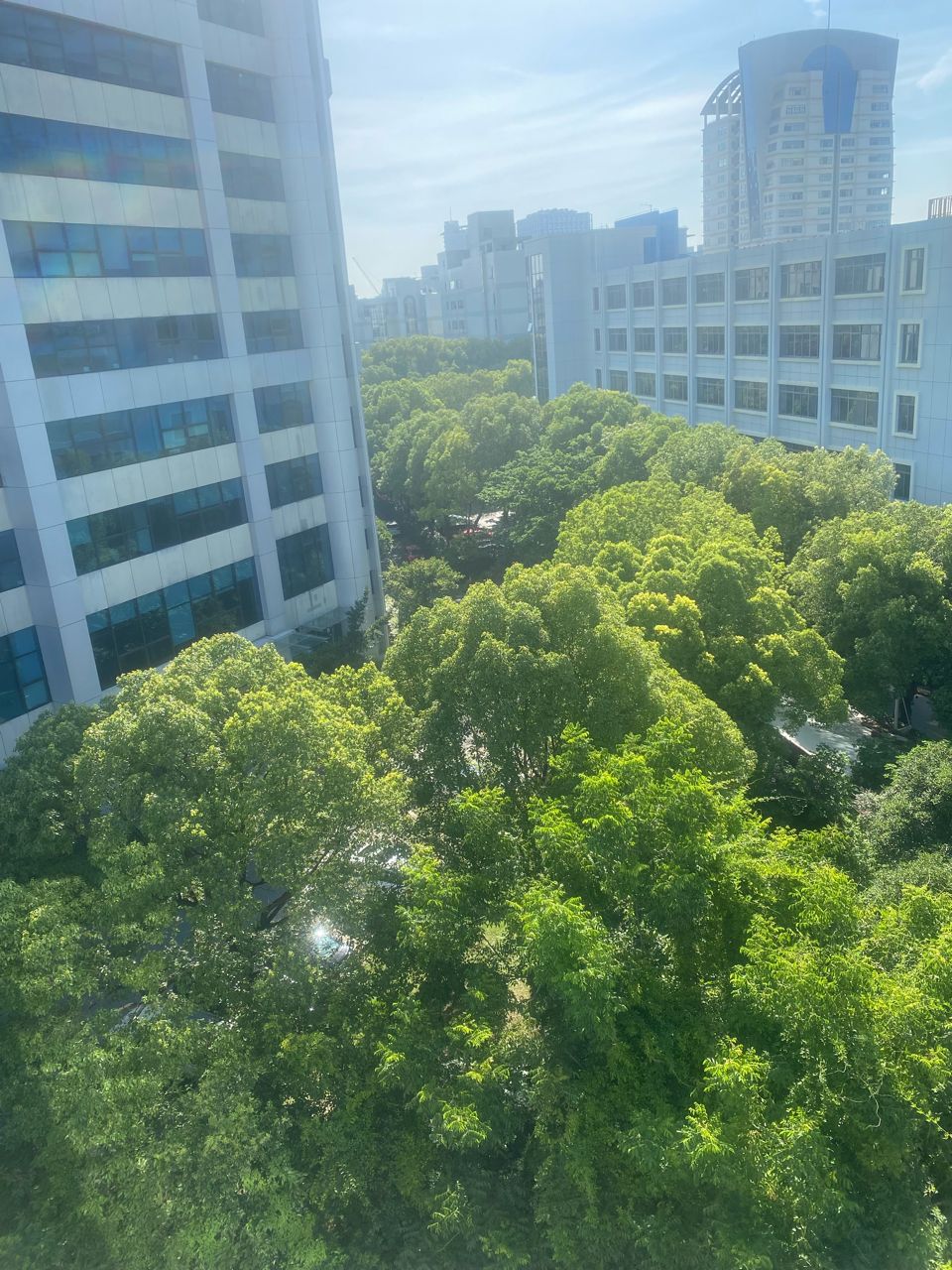 [m6s氵]有种走在室外会受到dot伤害的感觉 NGA玩家社区