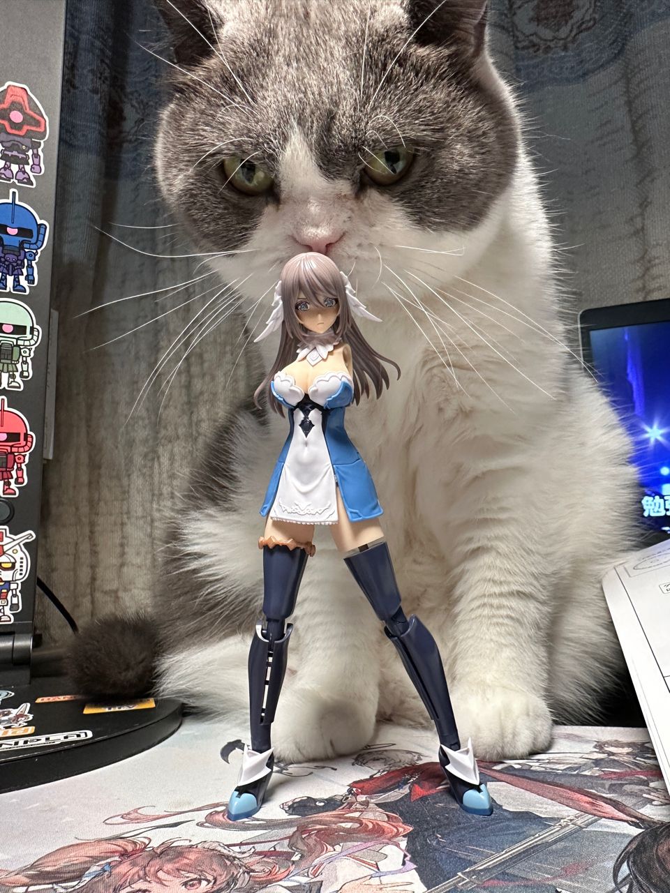 [拼装]Xxx拼多了就会自觉xxxx NGA玩家社区