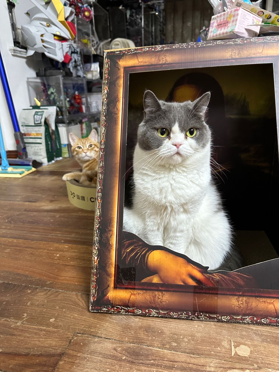 [拼装]Xxx拼多了就会自觉xxxx NGA玩家社区