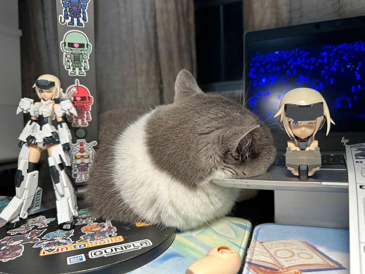 [拼装]Xxx拼多了就会自觉xxxx NGA玩家社区