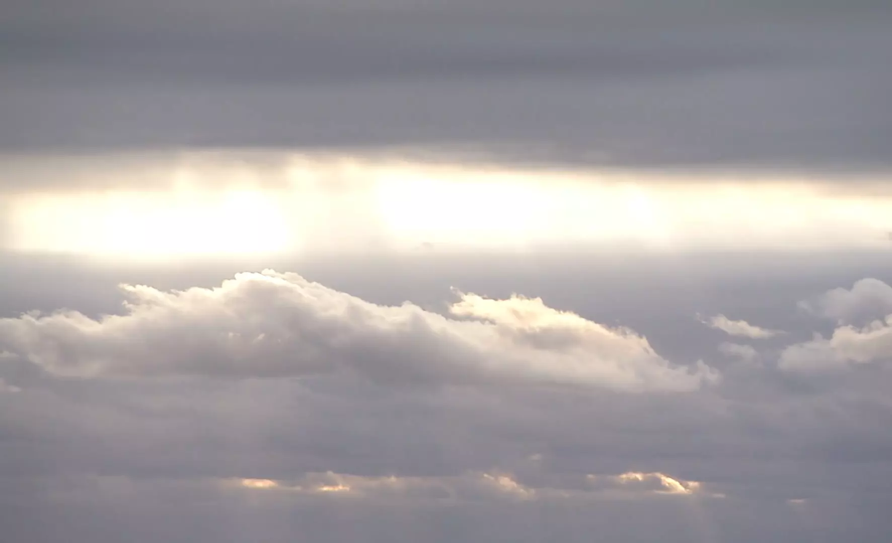 [安科/安价] [假面骑士] 糖完了的《假面骑士Gavv》 NGA玩家社区