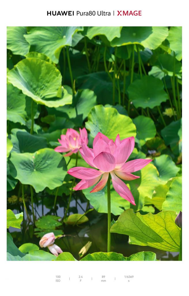 华为终于跟上了大部队 NGA玩家社区